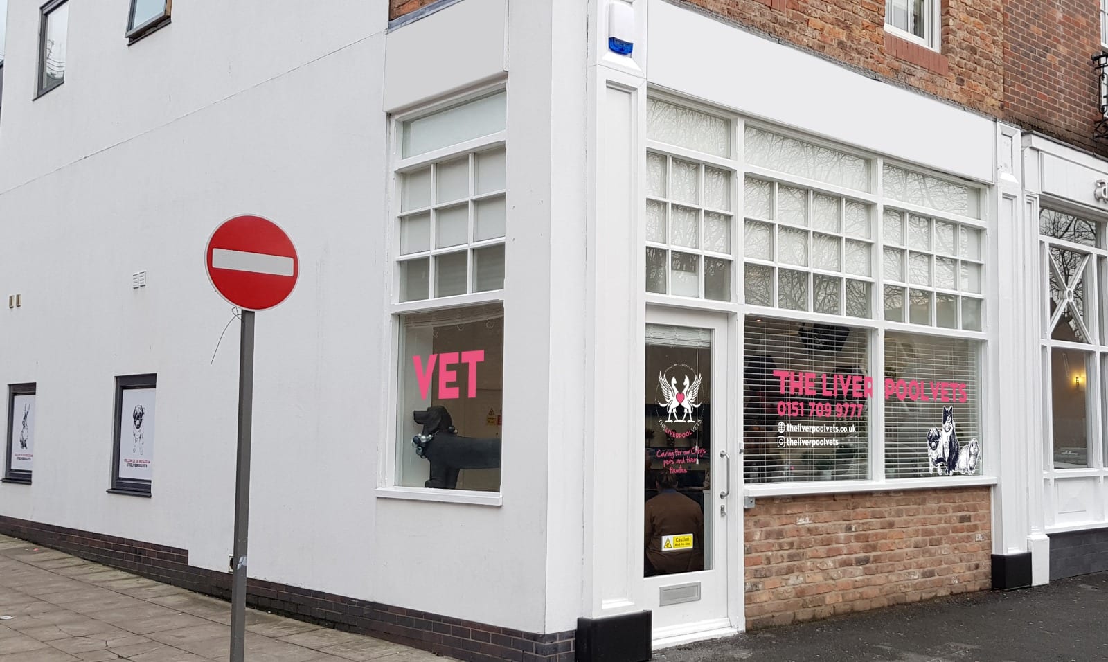 Meet Danielle vet surgeon from The Liverpool Vets | Kara UK